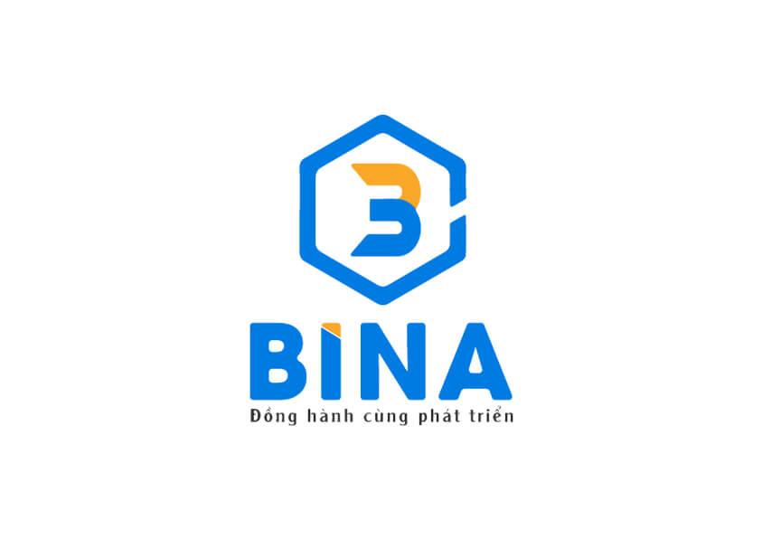 BINA WEB - Dịch vụ thiết kế Website và Marketing Online
